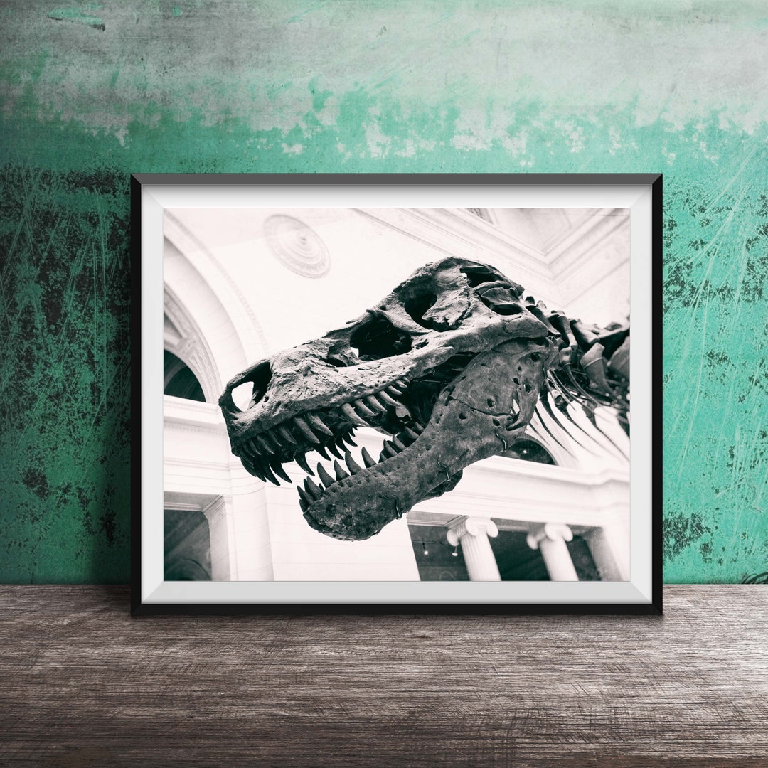 Huesos de dinosaurio T-Rex Photography Print Sue the - Etsy México