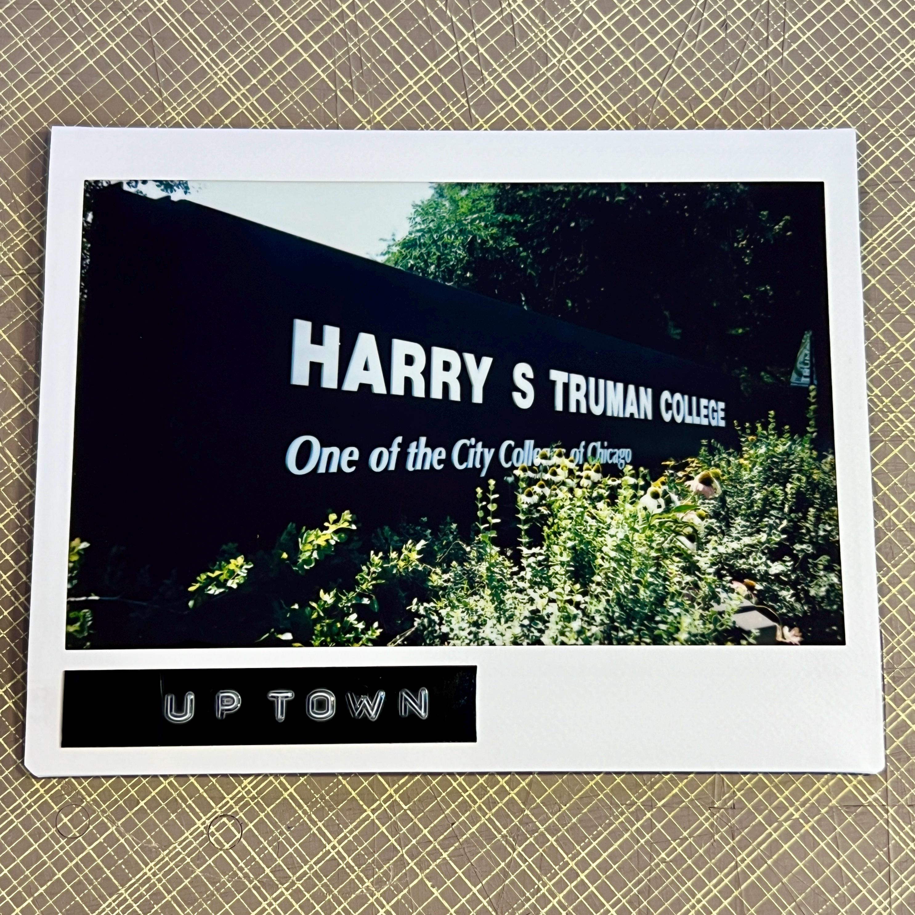 TRUMAN COLLEGE, Chicago Limited Edition Original Instant Film Photo 1/1 ...
