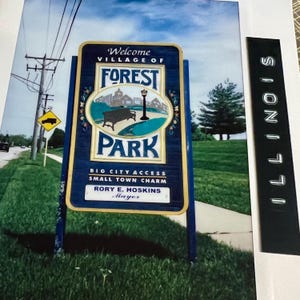 FOREST PARK, ILLINOIS - Limited Edition Original Instant Film Photo #1/ ...