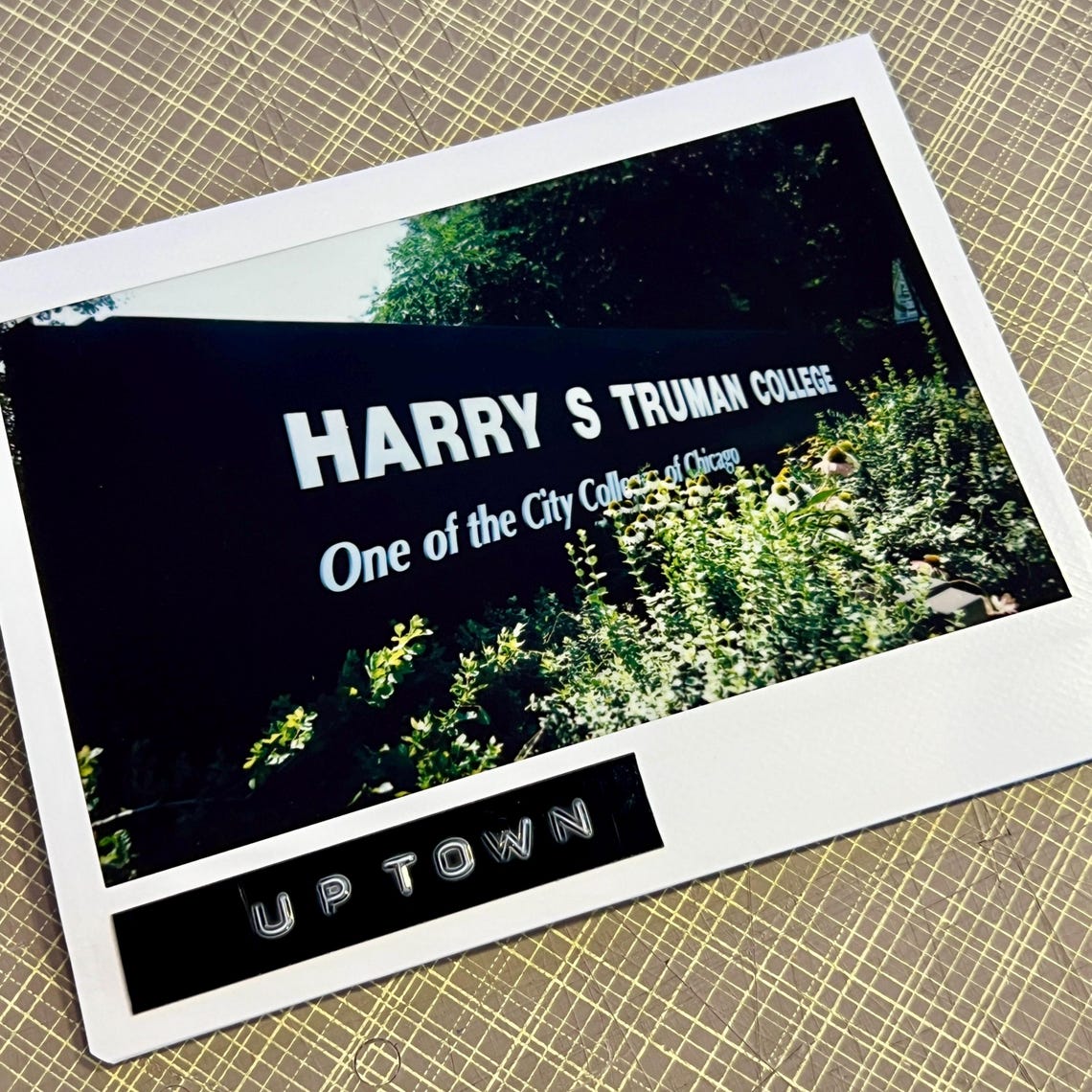 TRUMAN COLLEGE, Chicago Limited Edition Original Instant Film Photo 1/1 ...