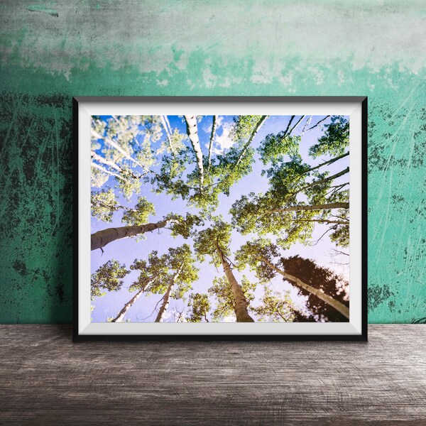 Tree Canopy - Etsy