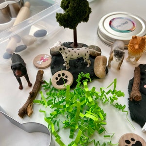 Dog Playdough Kit, Dog Play Dough Box, Puppy Sensory Kit, Dog Sensory ...