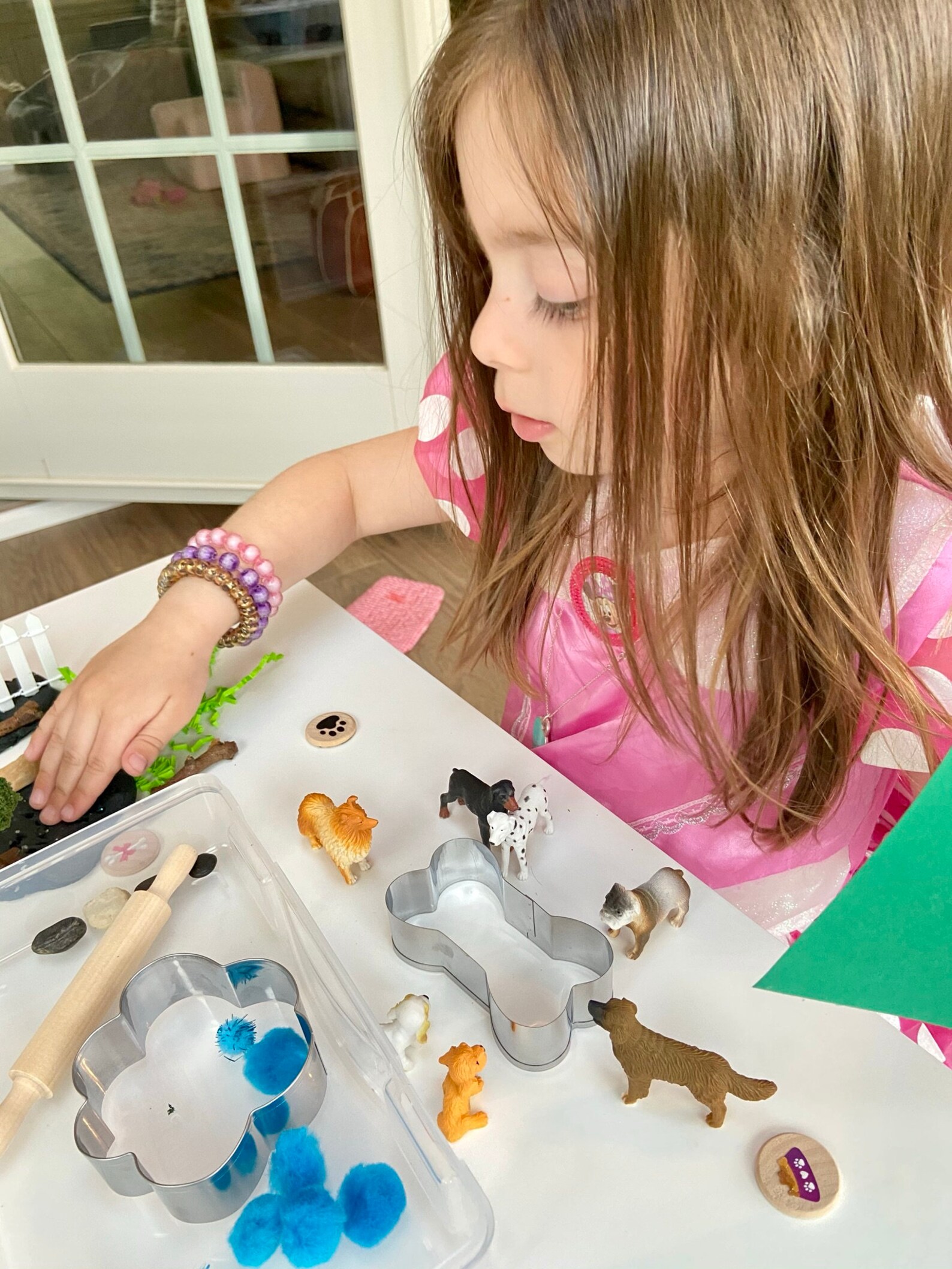 Dog Playdough Kit, Dog Play Dough Box, Puppy Sensory Kit, Dog Sensory ...