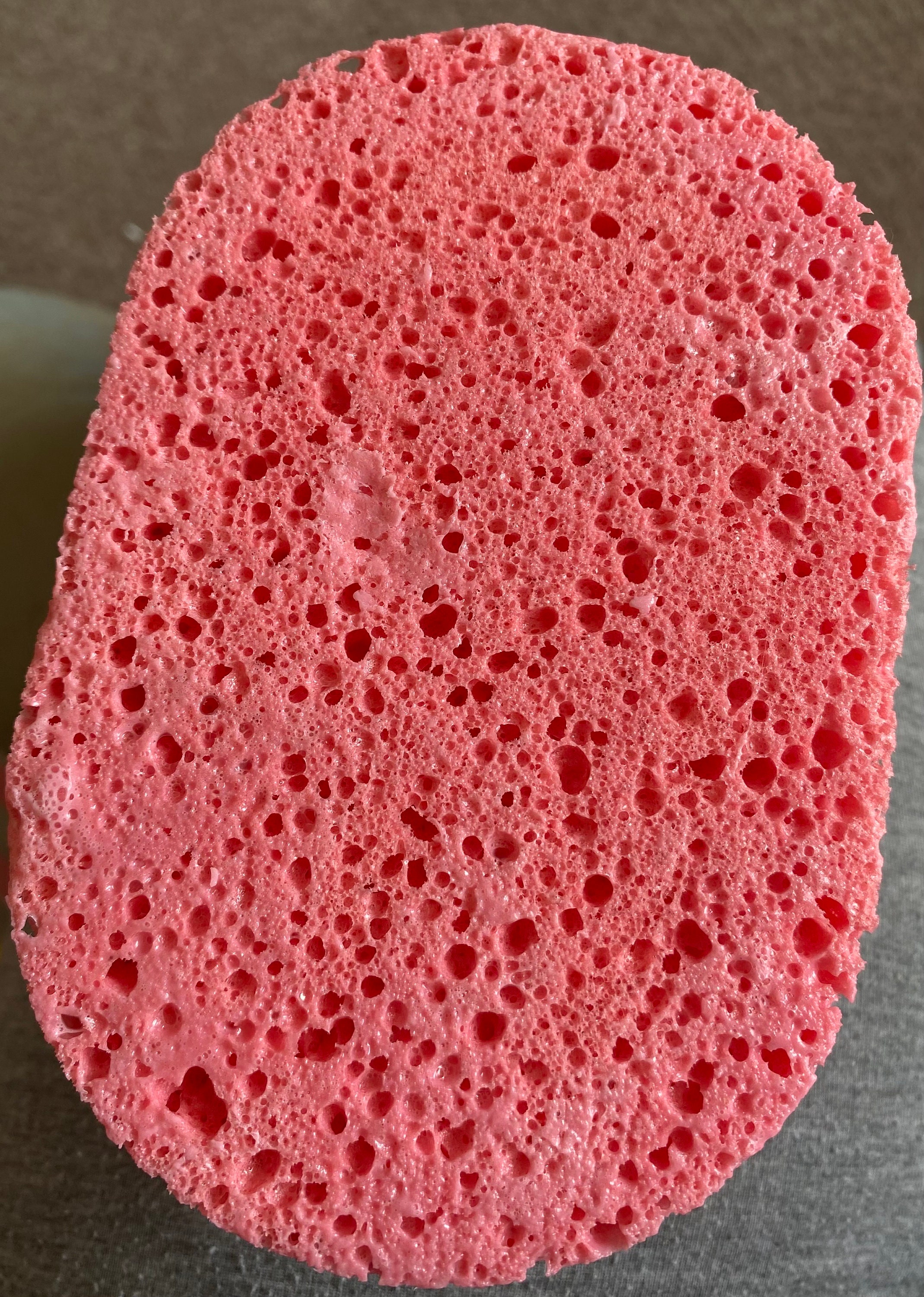 Exfoliating Soap Sponges - Etsy