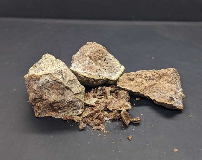 T-rex Dinosaur Bone Fragments - Ring Making, Craft Supplies - Ring ...