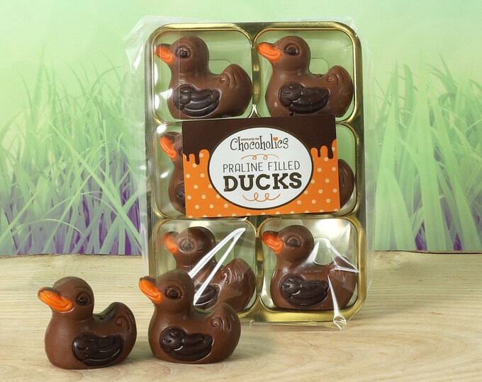 6 Milk Chocolate Ducks With Praline Filling,6 Milk & White Chocolate ...