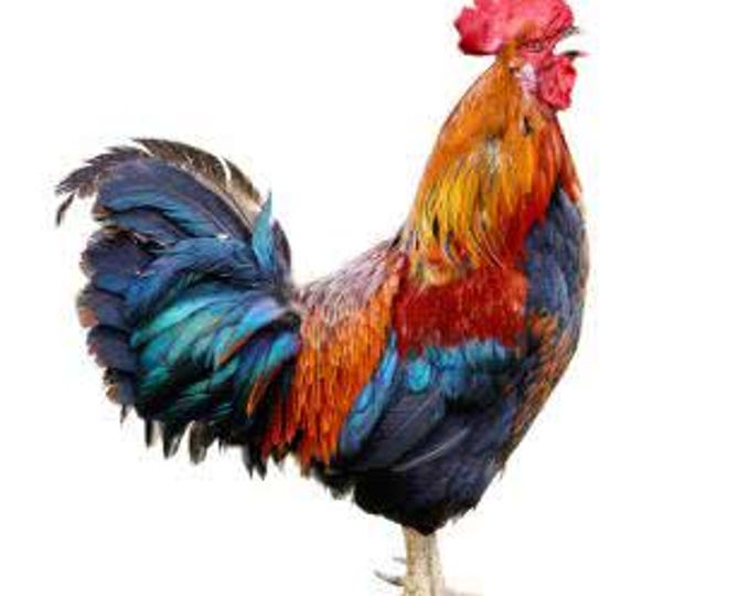 Rooster Statue - DXF Files for Laser or Plasma Cutter - Etsy