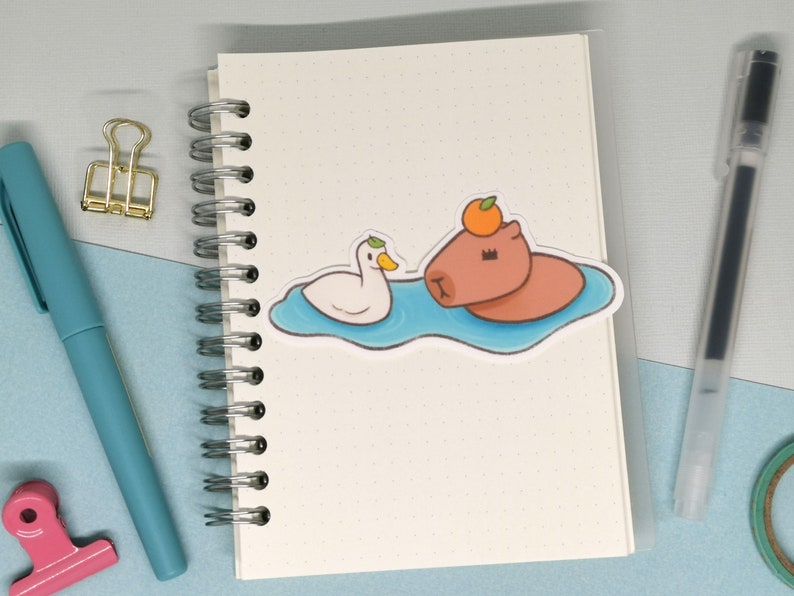 Cute Duck and Capybara Glossy Vinyl Sticker Kawaii Shibe Dog - Etsy ...