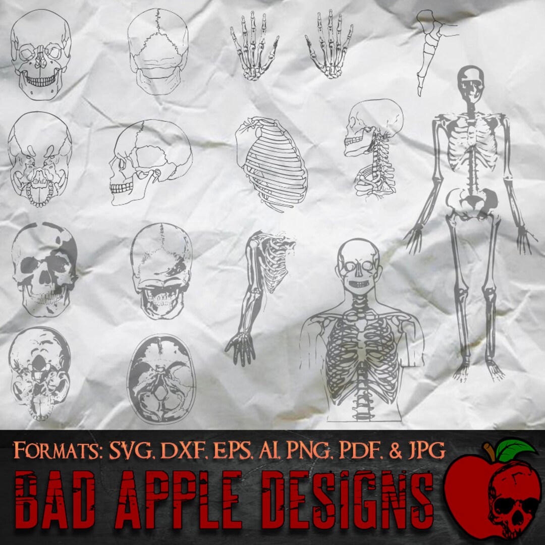 Skeleton Bundle 3 - High Resolution Svg, AI, Png and MORE! - Etsy
