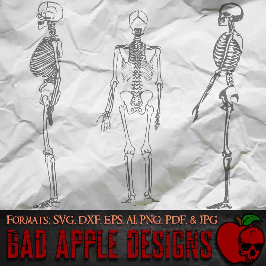 Skeleton Bundle 2 High Resolution Svg, AI, Png and MORE - Etsy
