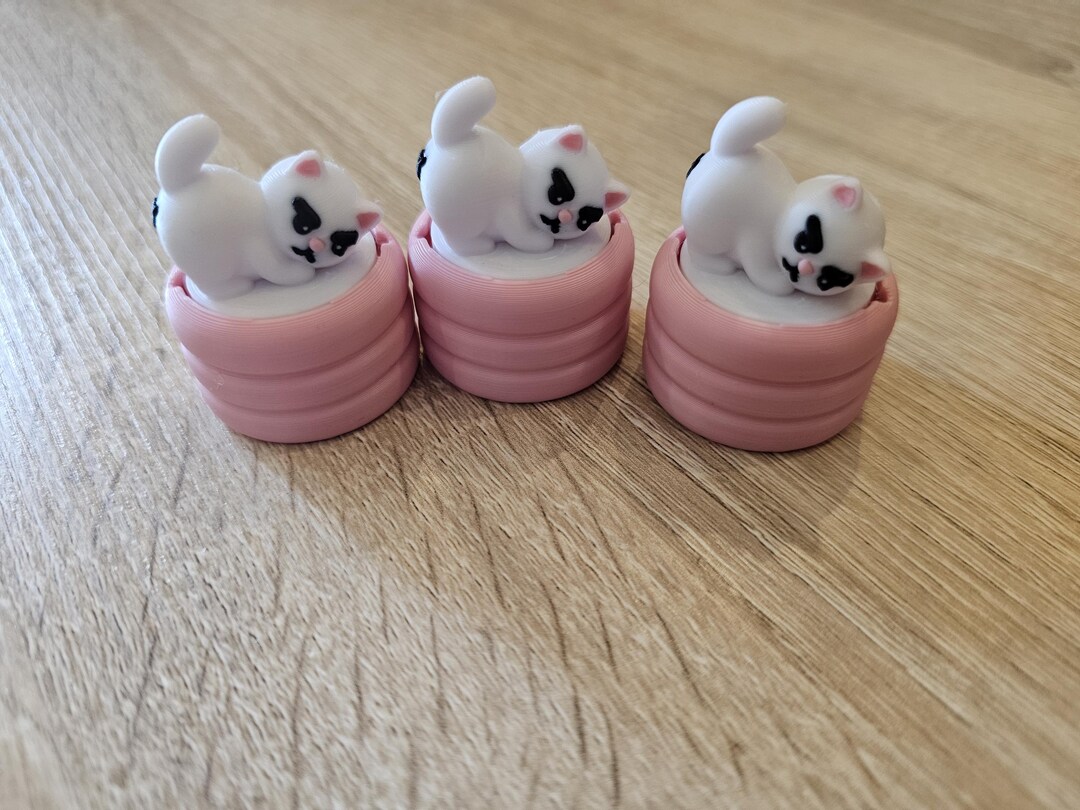Cat Fidget Clicker Keychain - Etsy