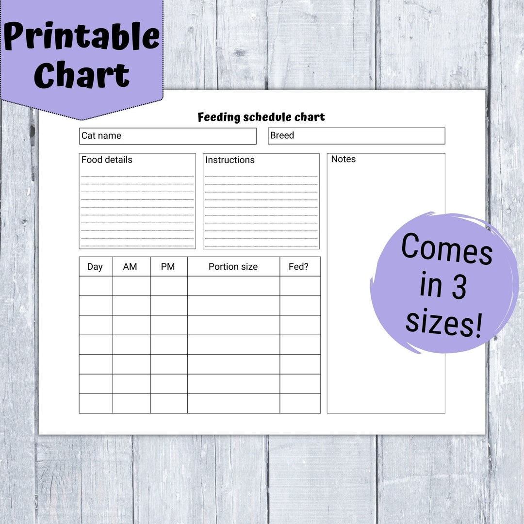 Cat Feeding Tracker Printable Cat Food PDF Chart Pet Food - Etsy