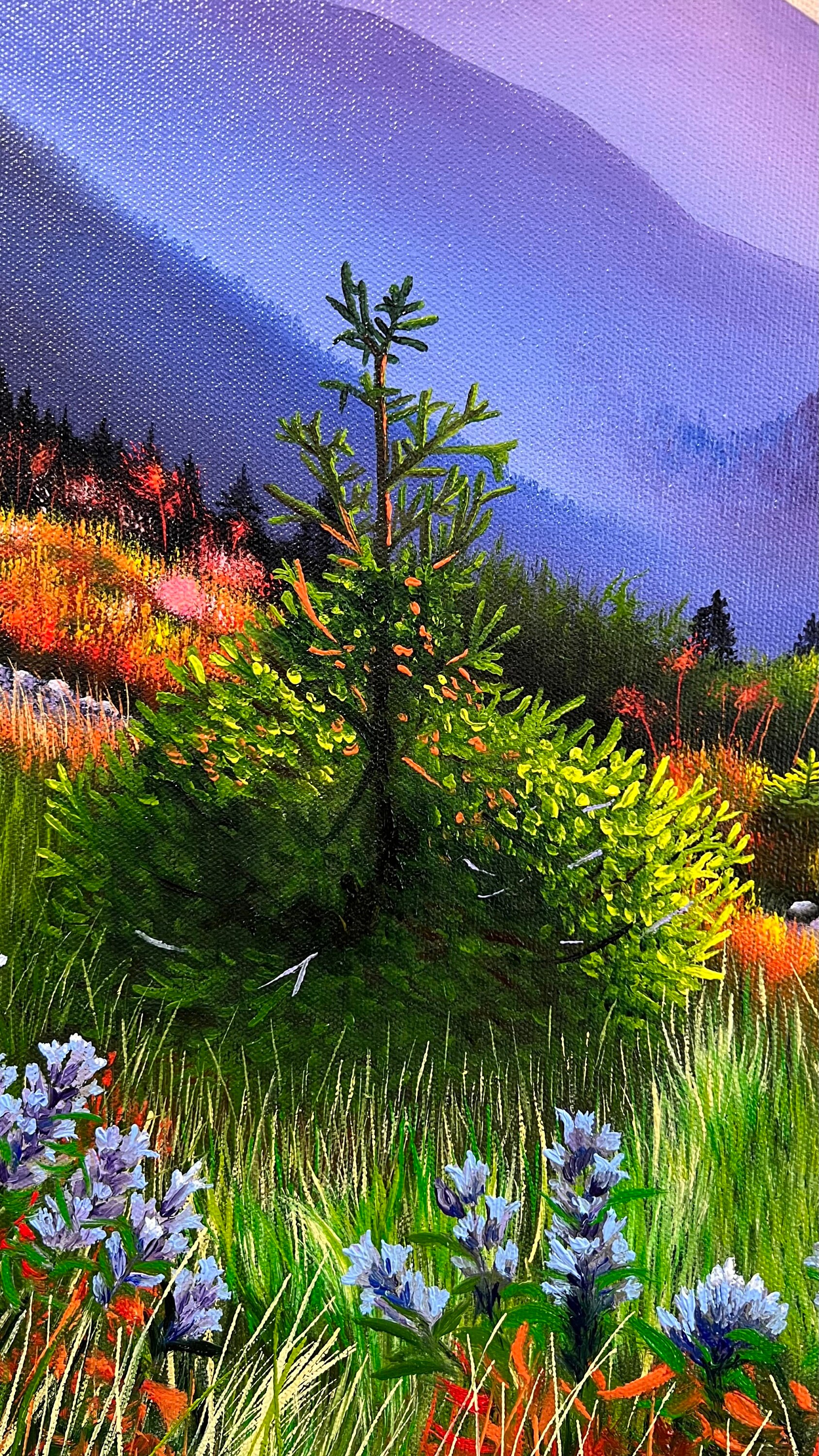 Saturated Sunset Colorful Over the Mountain Sunset Landscape, Fine Art ...