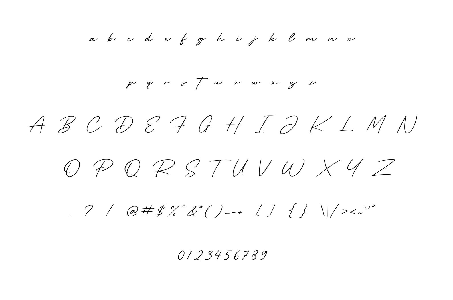 Carattere script corsivo Carattere firma grafia con lettere a mano ...