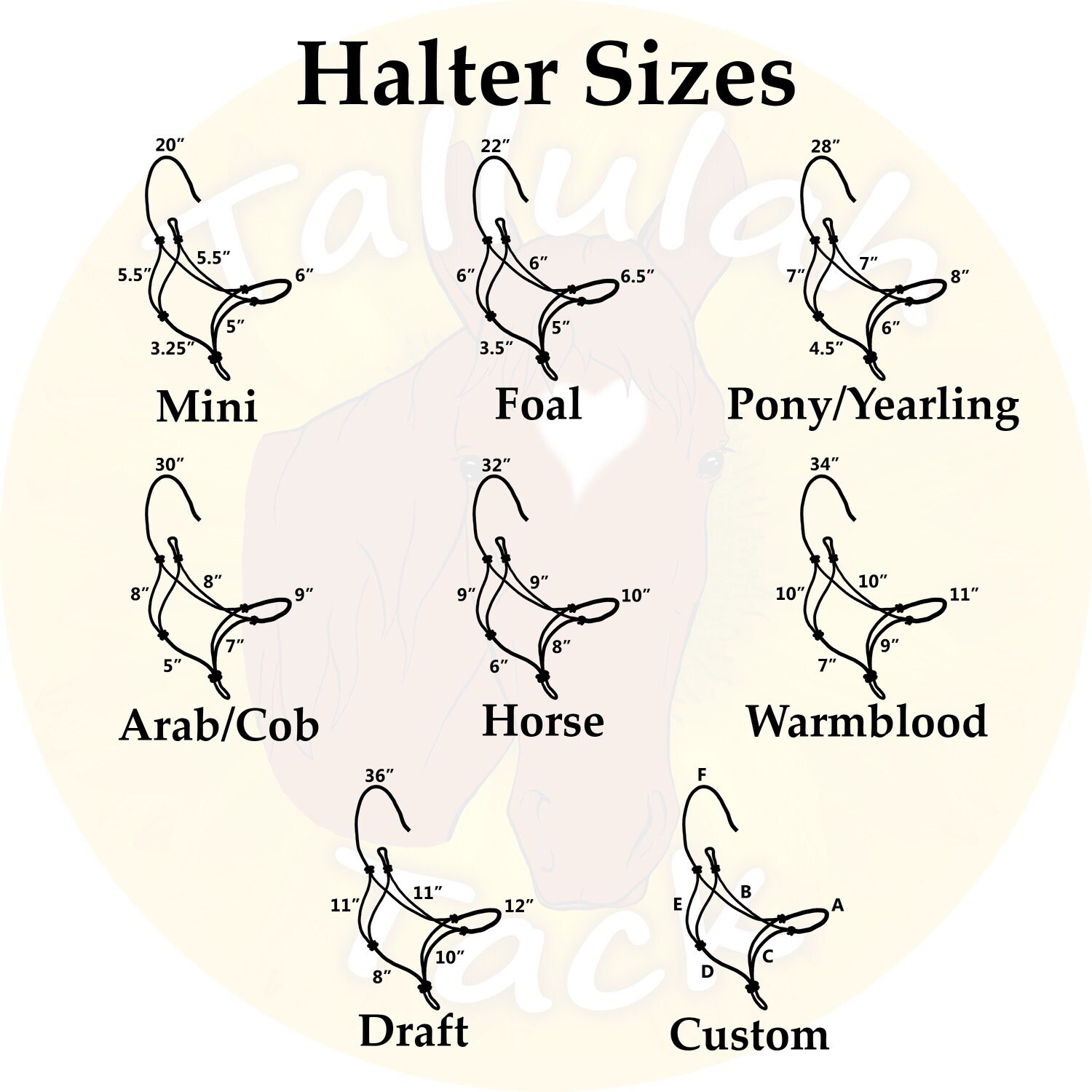 Custom Stiff Rope Halter, 2 or 4 Knot Rope Halter, 3/16 Double Braid ...