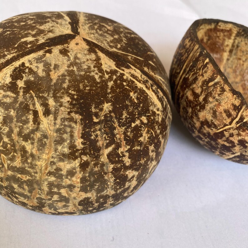 100% Natural Coconut Shells – Eco-friendly, Sustainable Craft Material ...