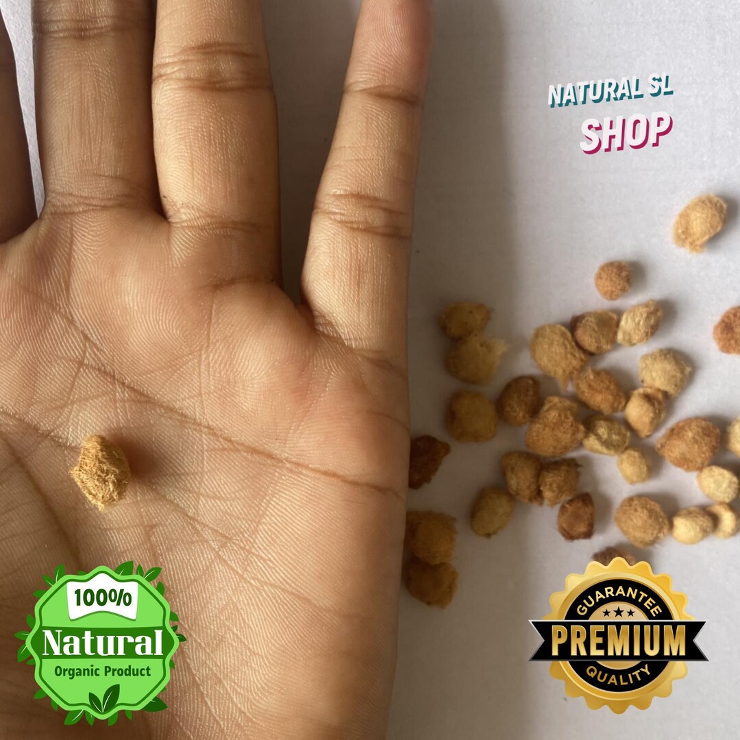 Natural Aegle Marmelos Bael Seeds – Homegrown Golden Apple Bengal ...