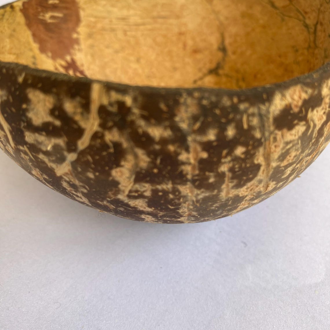 100% Natural Coconut Shells – Eco-friendly, Sustainable Craft Material ...