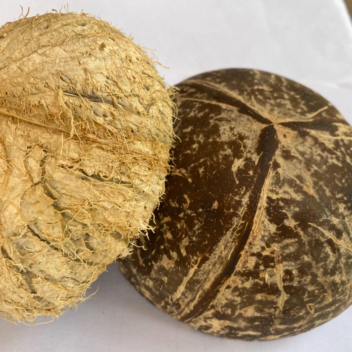 100% Natural Coconut Shells – Eco-friendly, Sustainable Craft Material ...