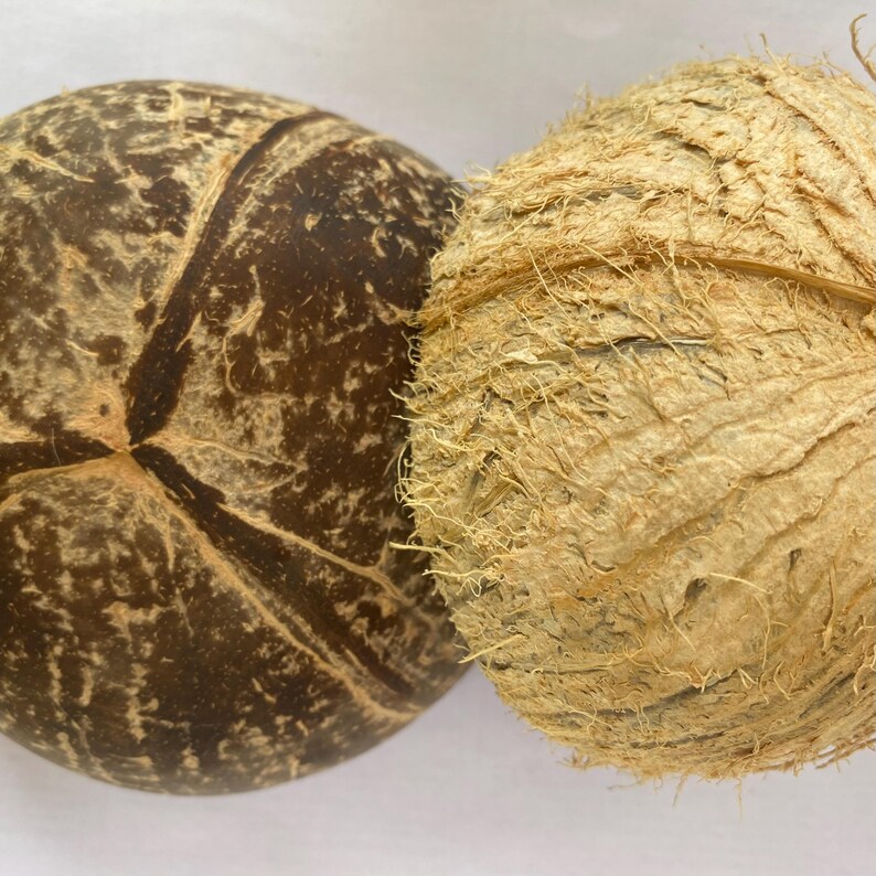 100% Natural Coconut Shells – Eco-friendly, Sustainable Craft Material ...