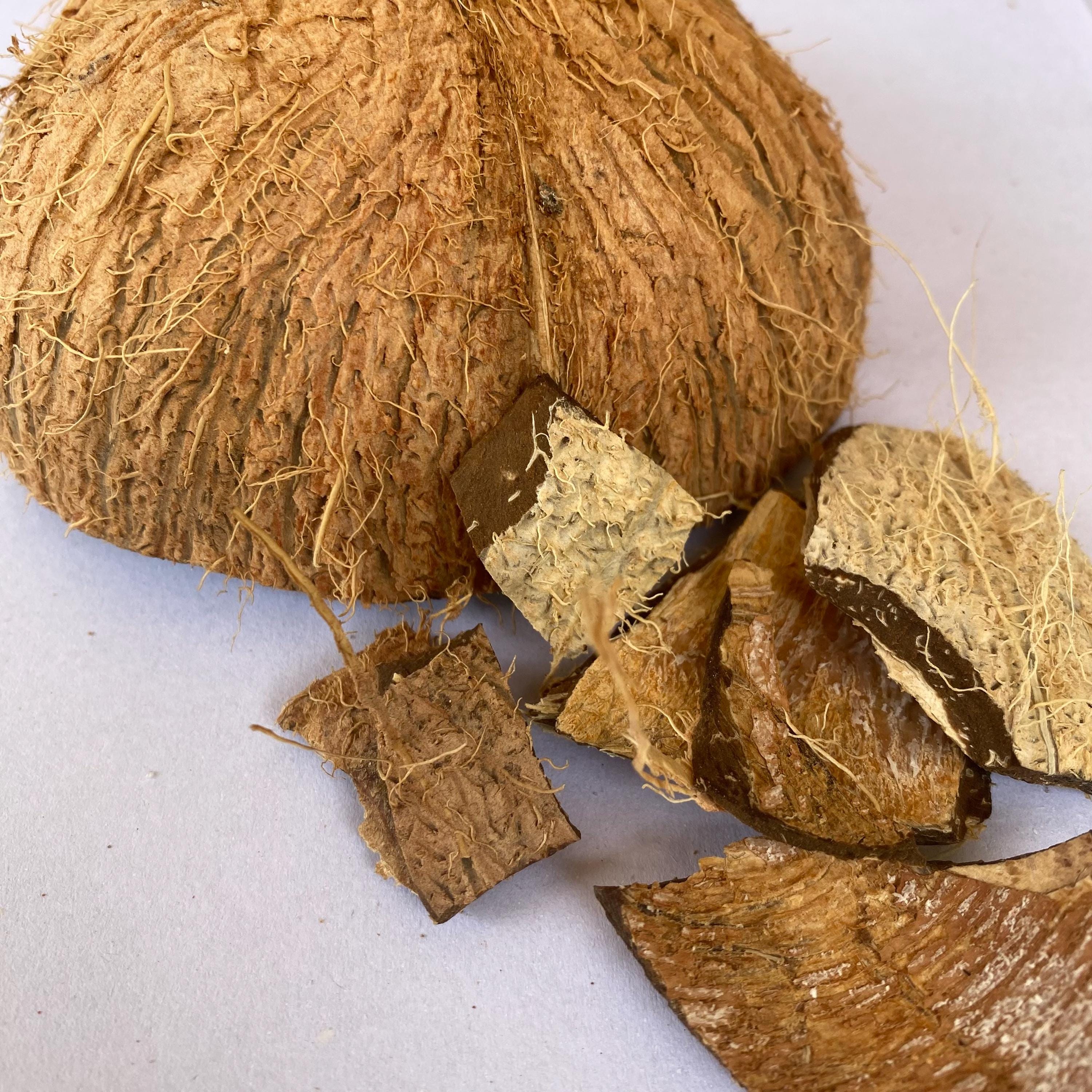 100% Natural Coconut Shell Chips – Eco-friendly, Sustainable Craft ...