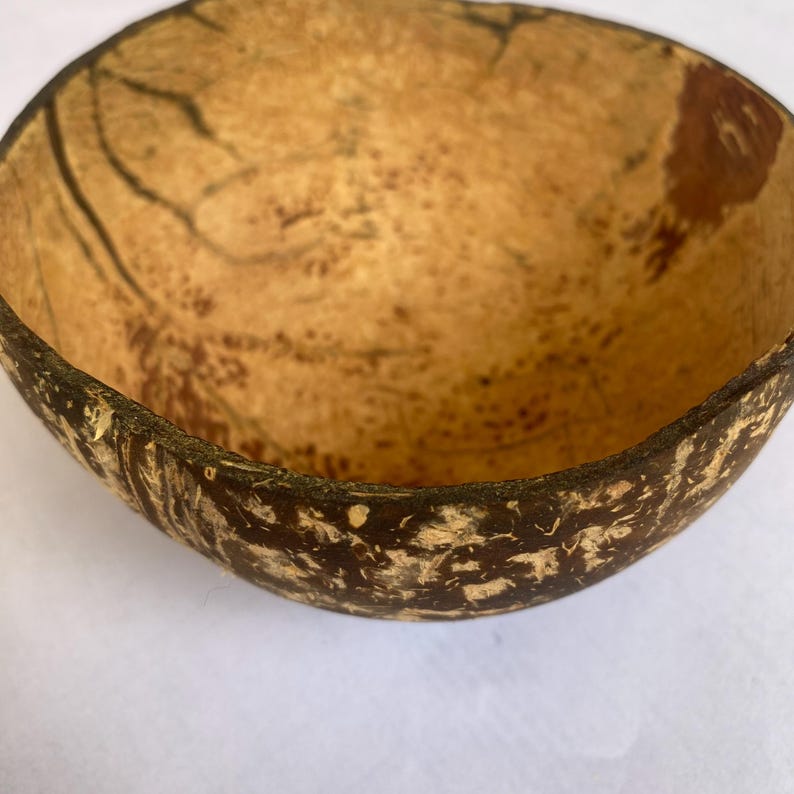 100% Natural Coconut Shells – Eco-friendly, Sustainable Craft Material ...