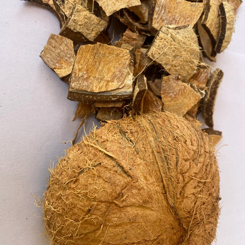 100% Natural Coconut Shell Chips – Eco-friendly, Sustainable Craft ...