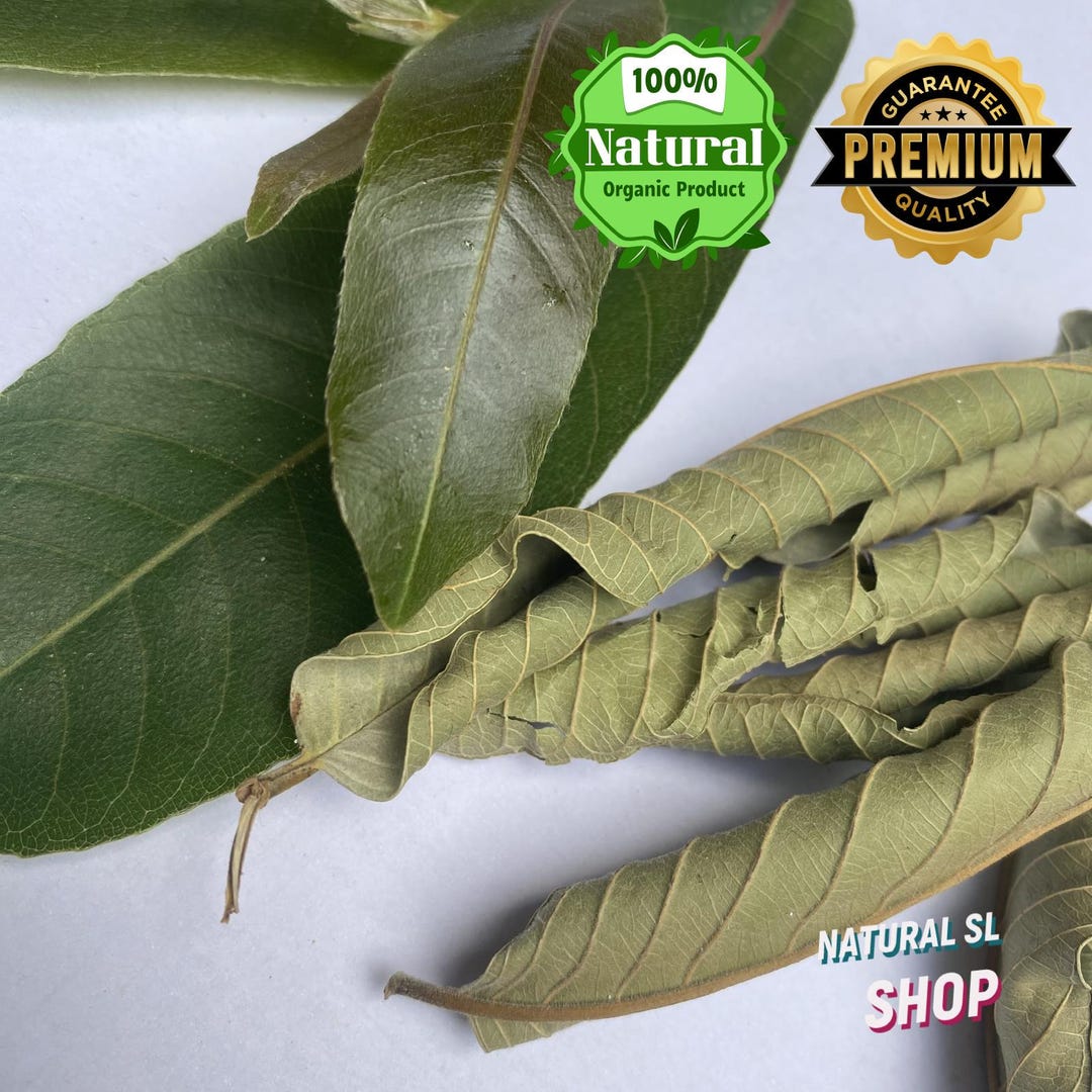 Ceylon 100% Natural Dried Arjun Leaves – Organic Terminalia Arjuna ...