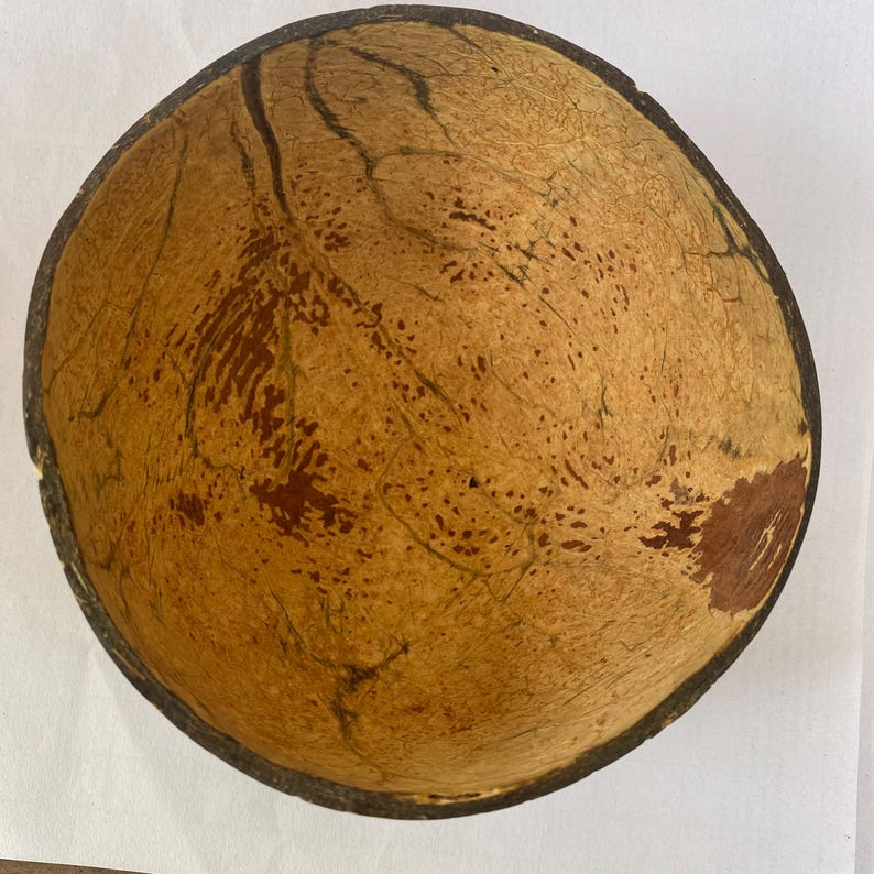 100% Natural Coconut Shells – Eco-friendly, Sustainable Craft Material ...