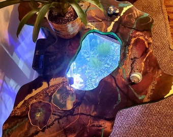 Aquarium Geode Art - Etsy