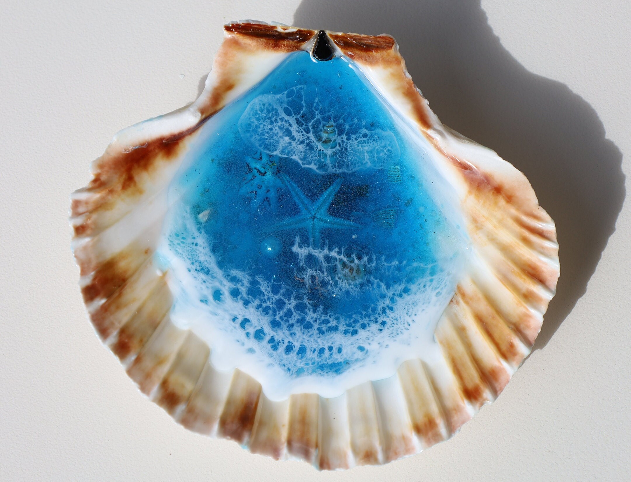 Resin Ocean Seashell Art: Coastal Beach Decor - Etsy