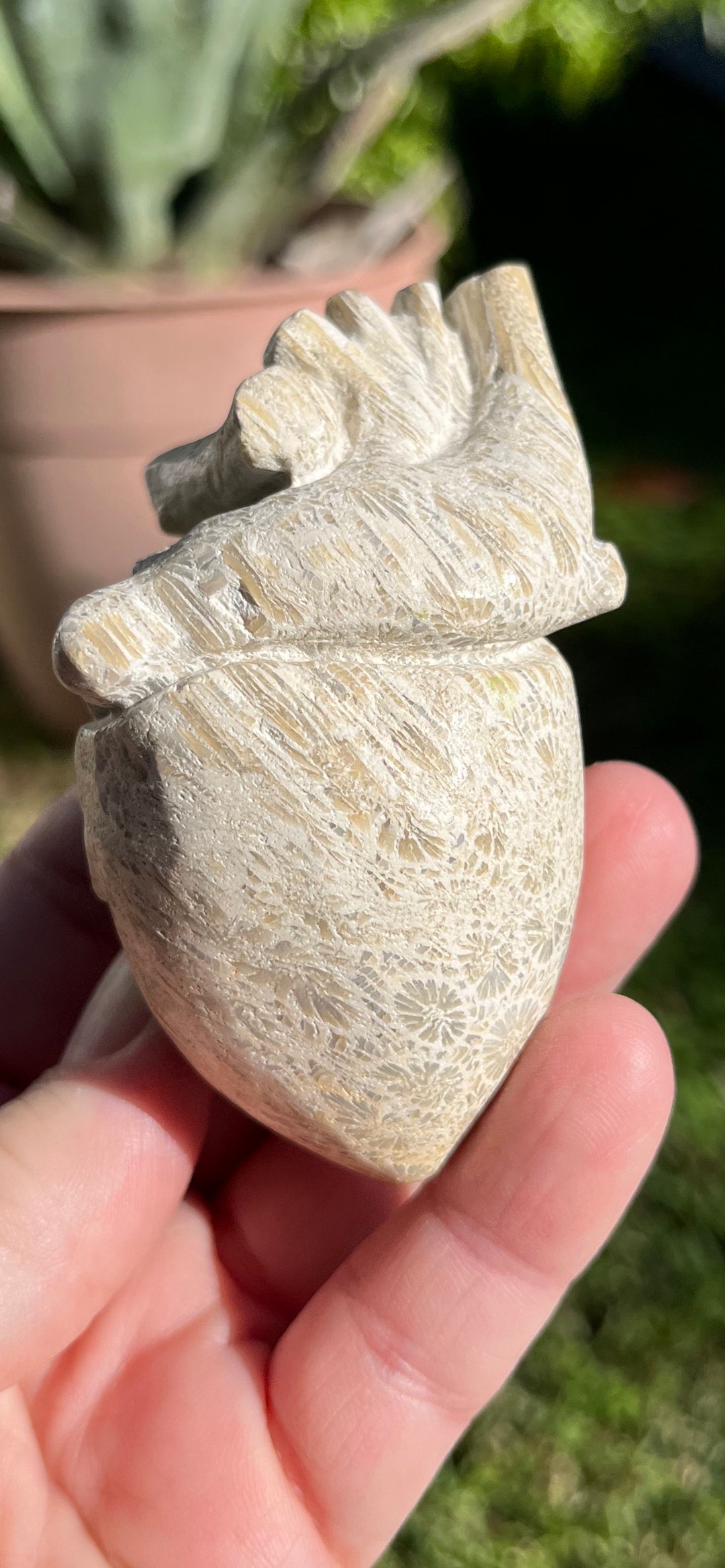 Coral Jasper Anatomical Heart - Etsy