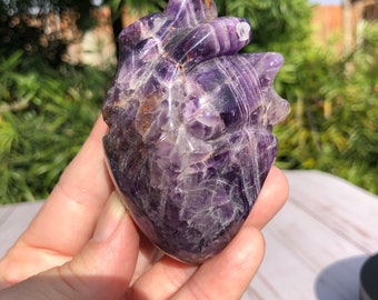 Crystal Anatomical Heart - Etsy