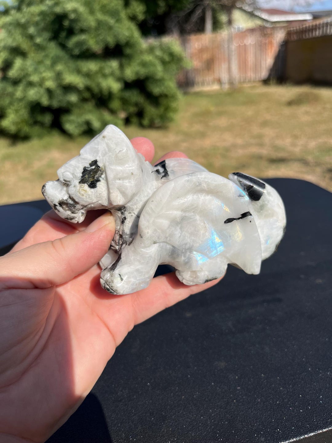 Rainbow Moonstone Dragon - Etsy