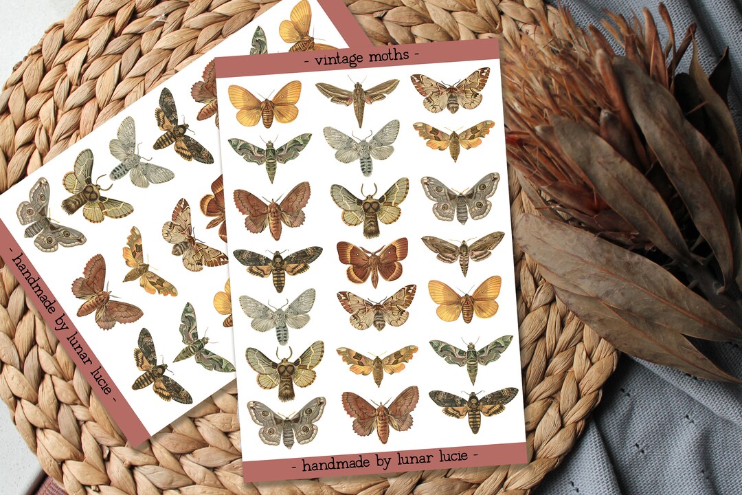Vintage Ephemera Moth Stickers Vintage Nature Moth Sticker Sheet for ...