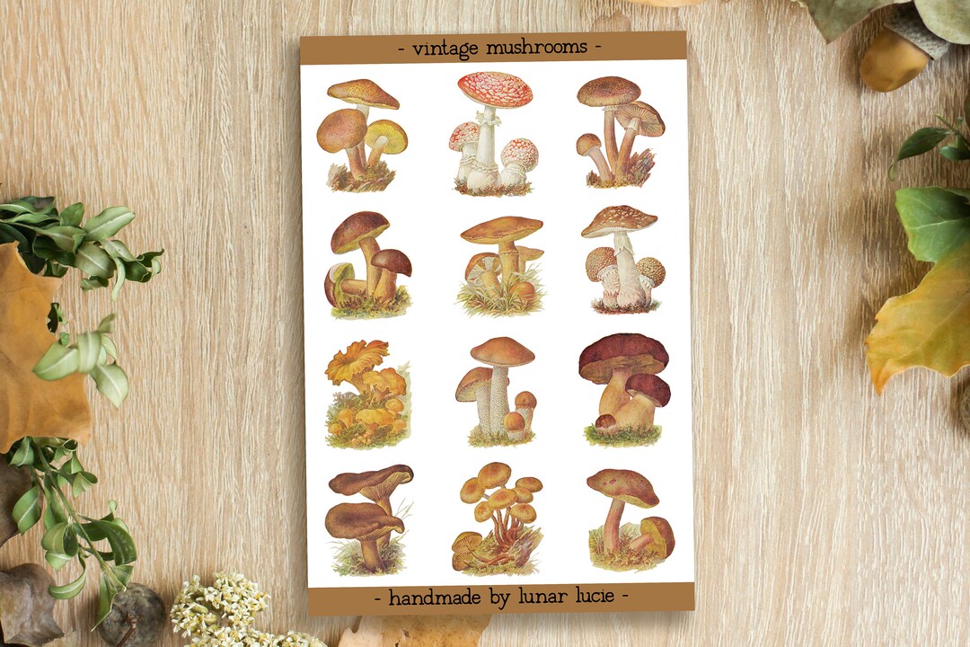 Vintage Ephemera Mushroom Stickers Botanical Fungi Sticker Sheet for ...