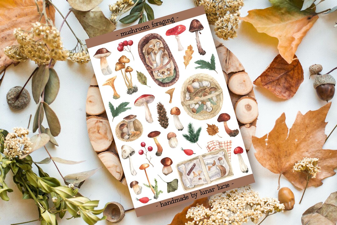 Mushroom Foraging Sticker Sheet Fungi Mushroom Stickers Autumn Stickers ...