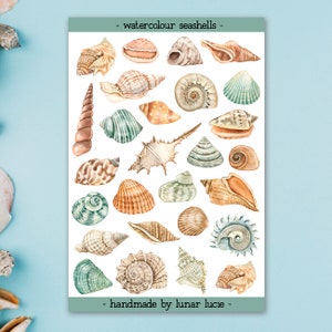 Seashell Sticker Sheet Watercolor Sea Shell Stickers Wedding Ocean ...