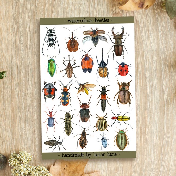 Craft Supplies & Tools Beetle Sticker Set die cut vinyl glossy decal ...