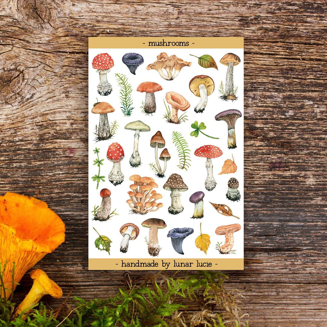 Mushroom Sticker Sheet Fungi Stickers Autumn Fall Planner Deco Stickers ...