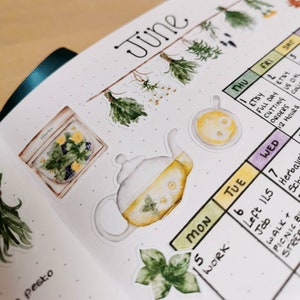 Herbalism Sticker Sheet Herbal Apothecary Stickers Herbalist Stickers ...
