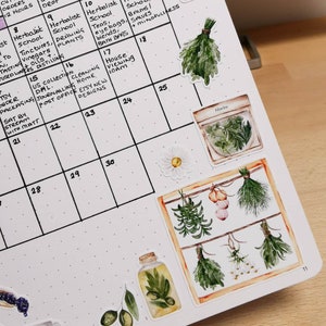 Herbalism Sticker Sheet Herbal Apothecary Stickers Herbalist Stickers ...