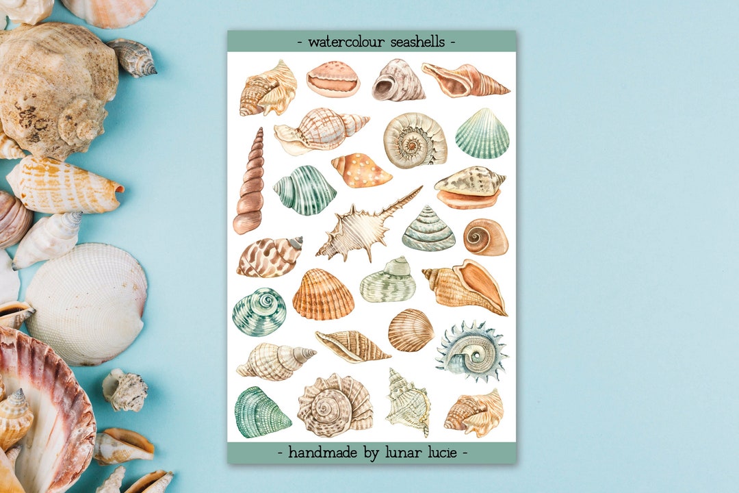Seashell Sticker Sheet Watercolor Sea Shell Stickers Wedding Ocean ...