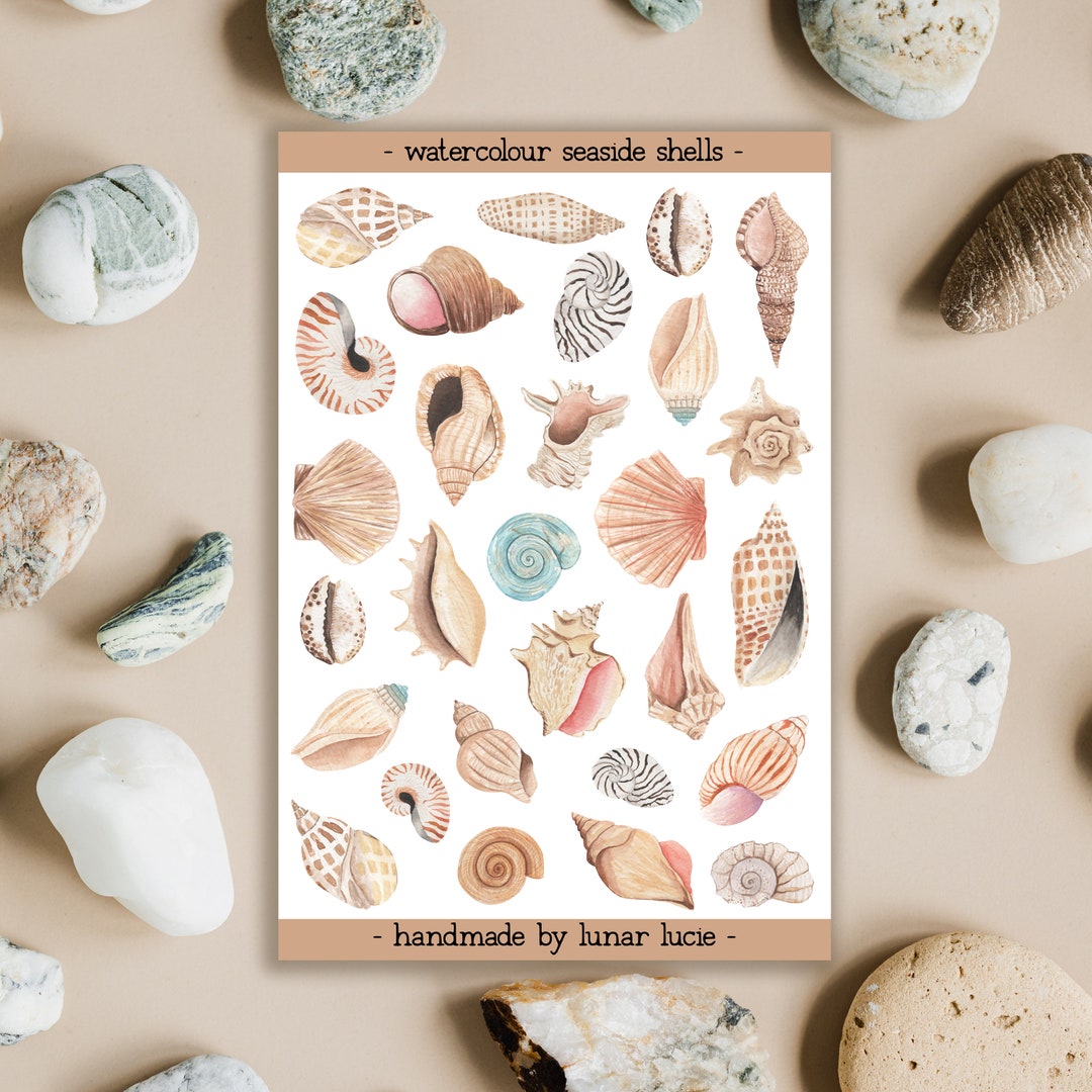 Seaside Shells Sticker Sheet Watercolour Sea Shell Stickers - Etsy