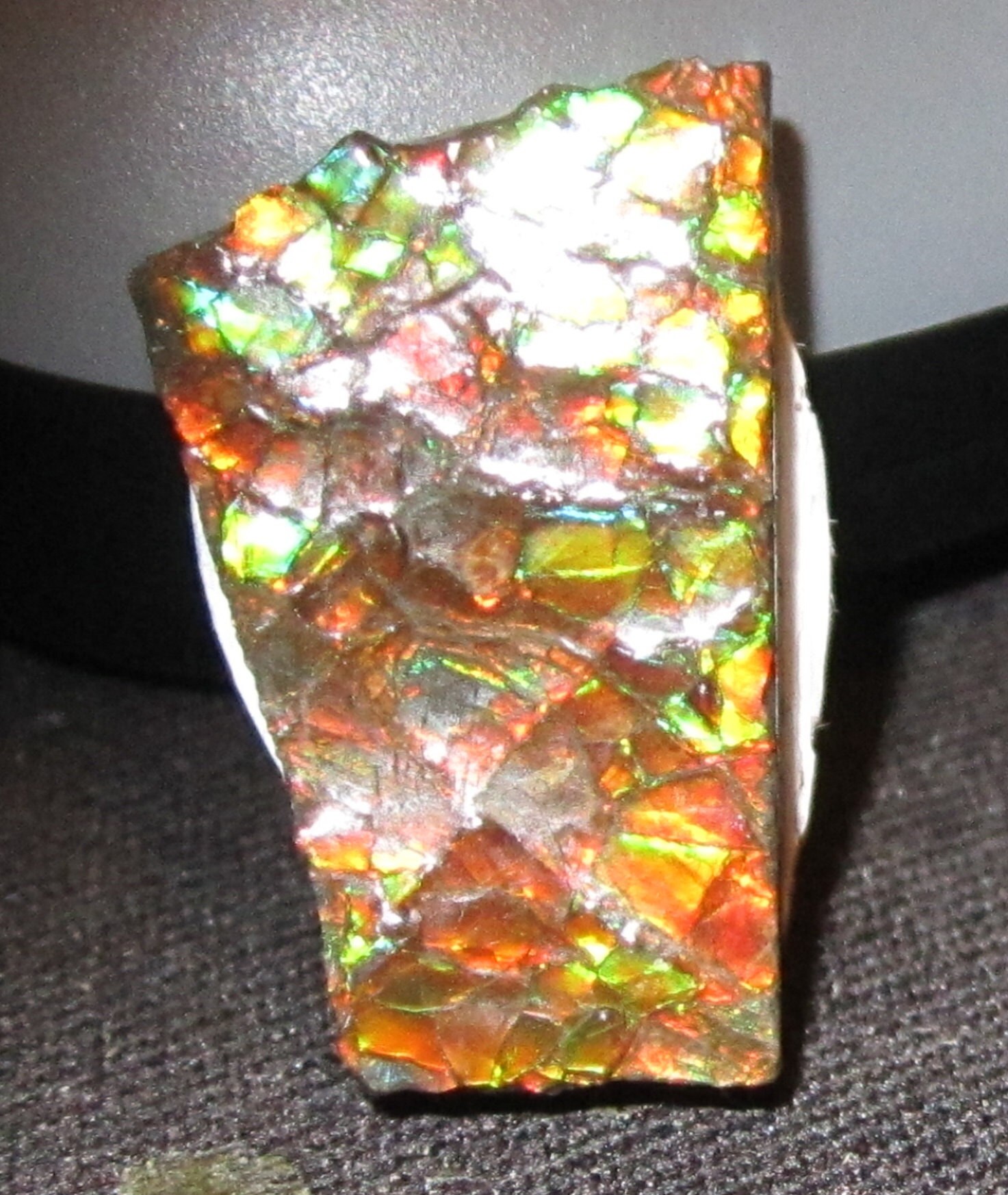 Natural Canadian Ammolite Specimen Ammolite Polished Display, Small ...