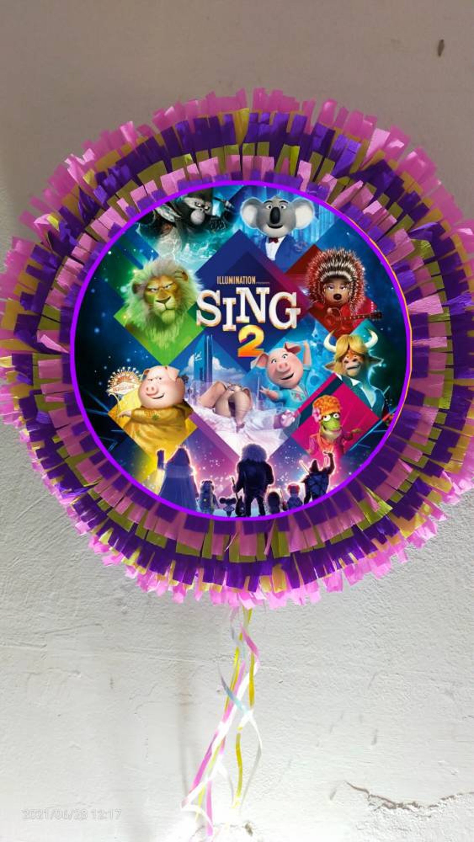 Piñata sing 2 Girls Birthday Party Supplies Pull - Etsy