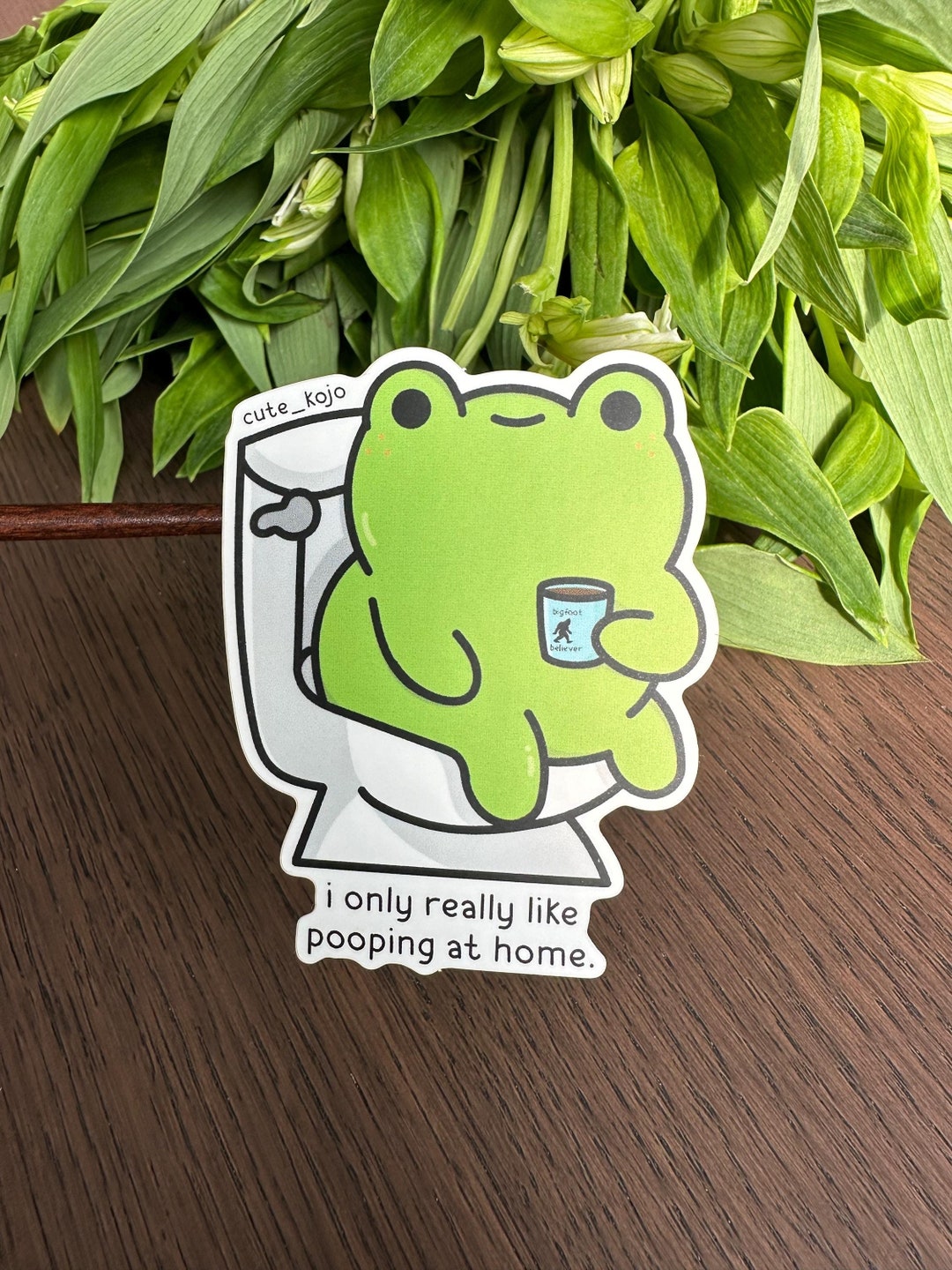 Frog on Toilet Funny Sticker - 'I Only Really Like Pooping at Home ...