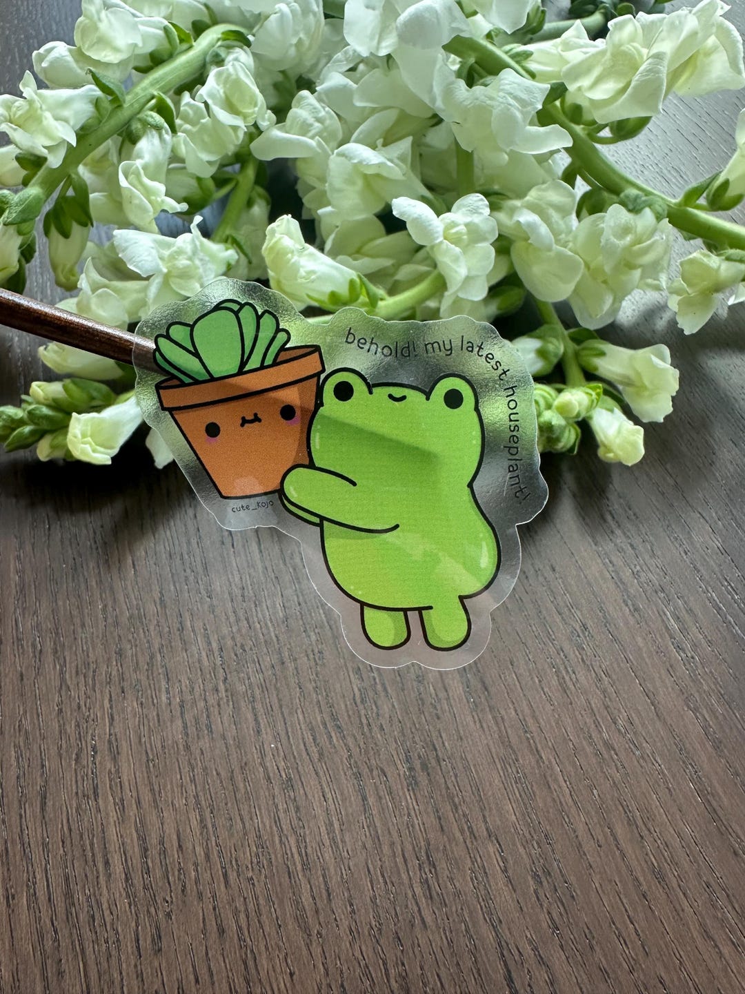 Behold! My Latest Houseplant Frog Sticker – Adorable Clear Decal for ...