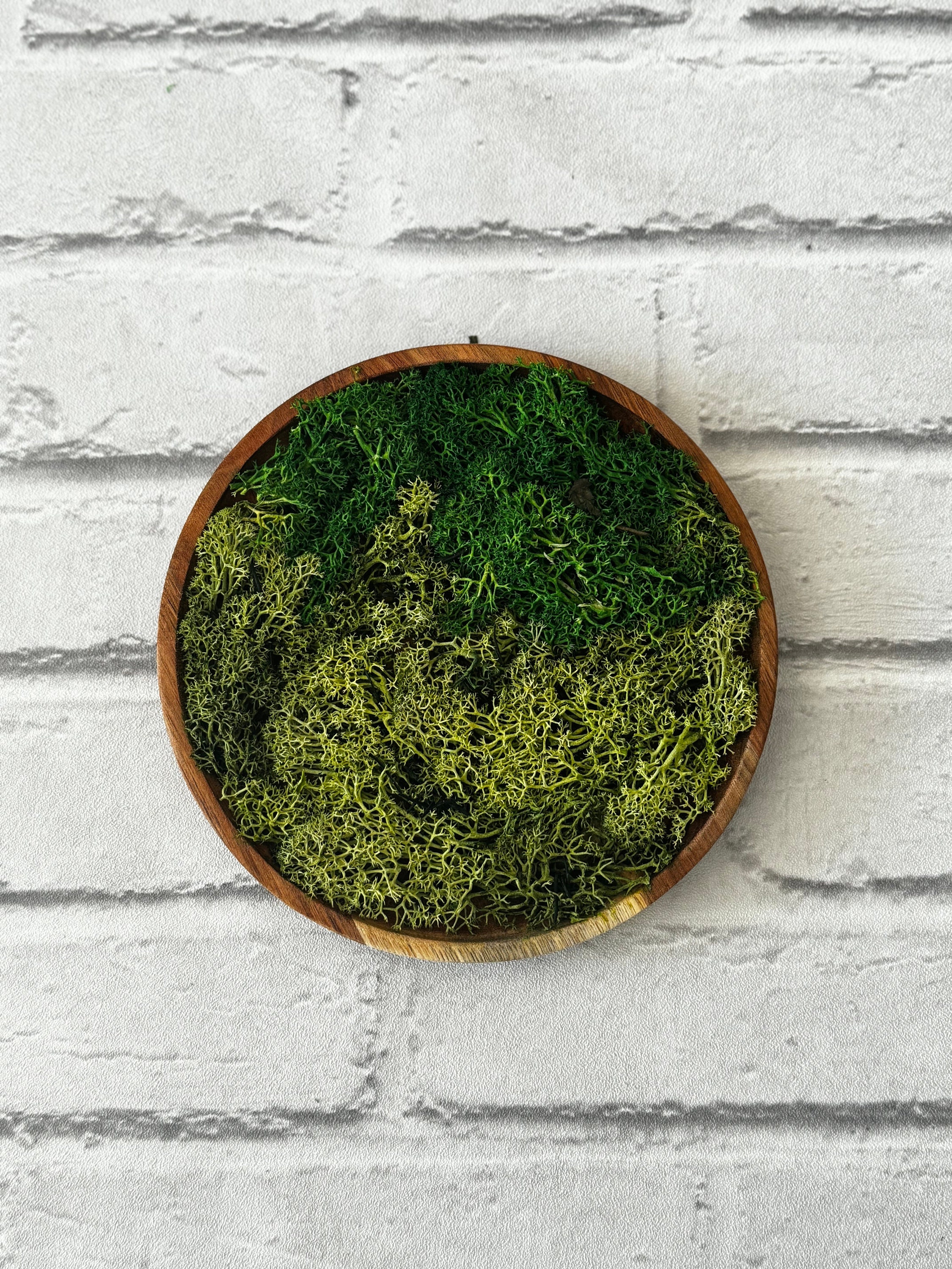 Preserved Moss Art, Wall Art, Home Decor, Art, Natural Moss, Wooden ...