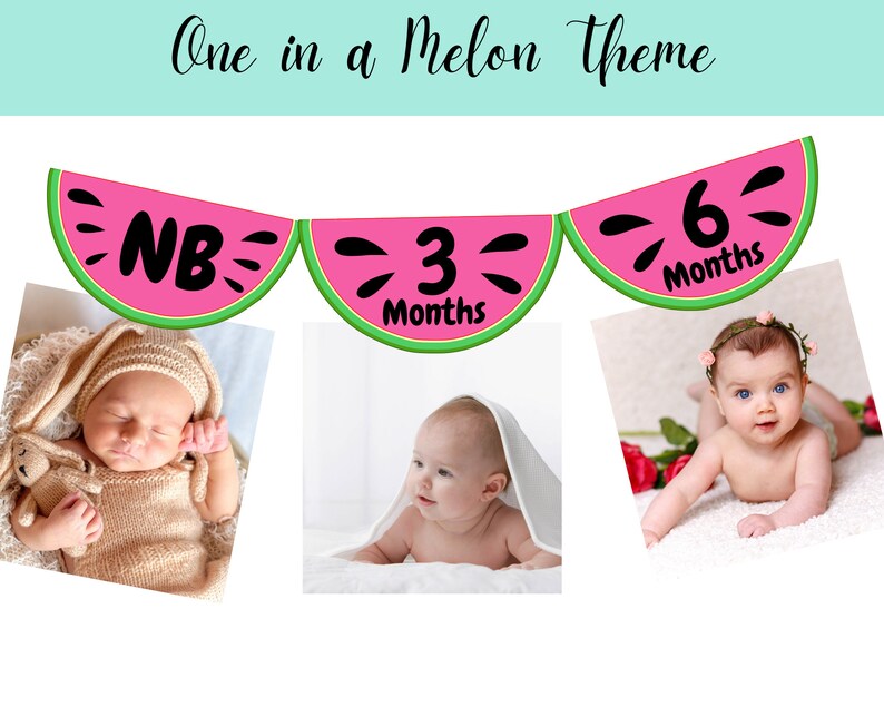 One in a Melon Banner Watermelon Monthly Photo Banner - Etsy